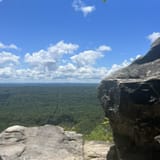 Blue Trail (South Rim Trail), Alabama - 261 Reviews, Map | AllTrails