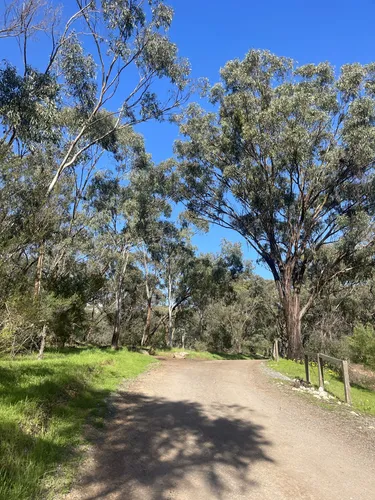 Best Hikes and Trails in Shepherds Hill Recreation Park | AllTrails