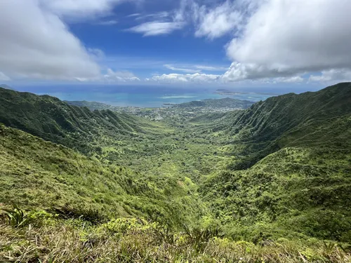 Best River Trails in Pearl City | AllTrails