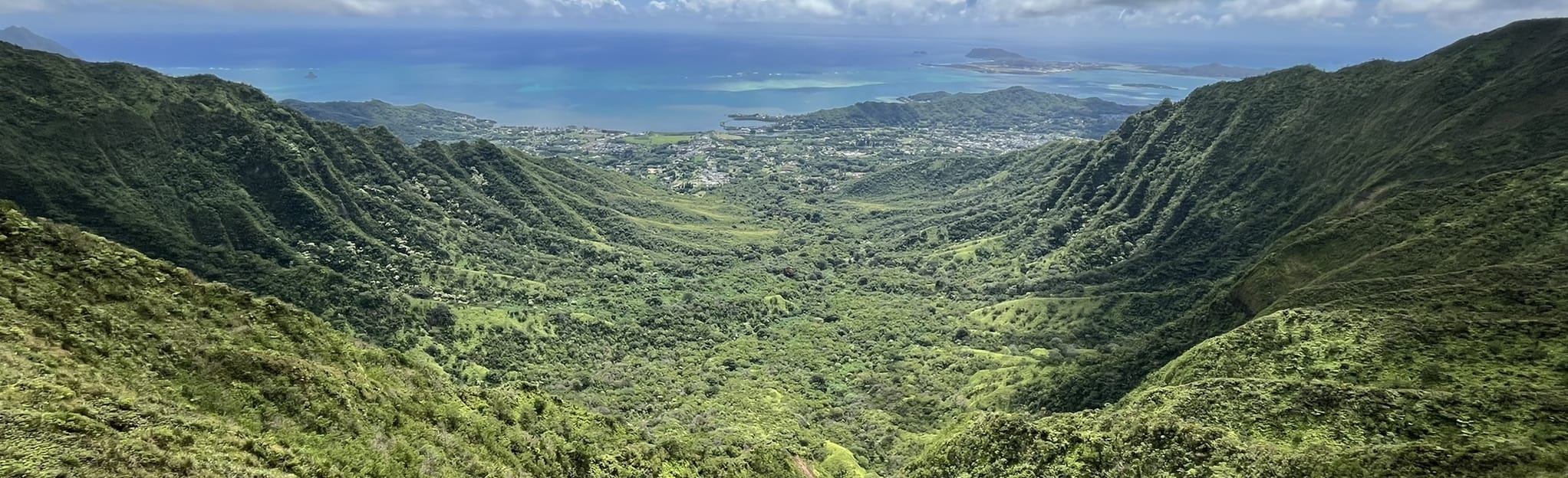 Waimano Ridge Trail, Oahu, Hawaii - 217 Reviews, Map | AllTrails