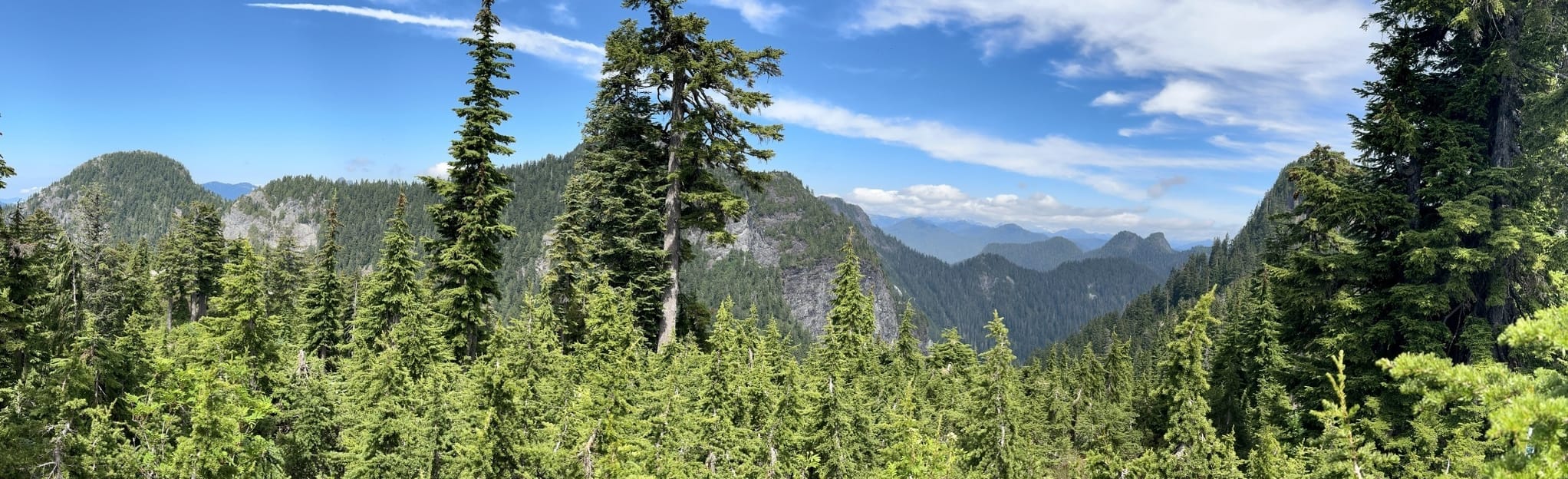 Little Goat Mountain and Dam Mountain Loop: 190 Reviews, Map - British Columbia, Canada | AllTrails