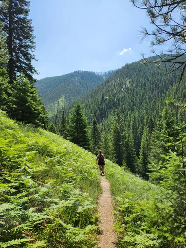 2023 Best Bird Watching Trails in Pinesdale | AllTrails