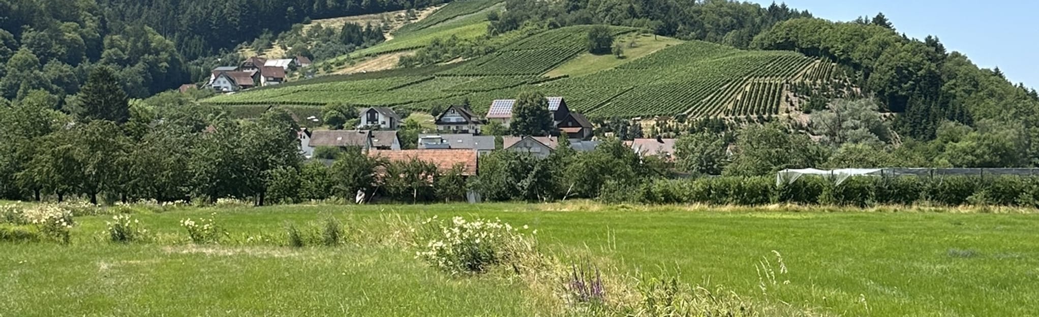 Oberkircher Brennersteig: 90 foto's - Baden-Württemberg, Duitsland ...