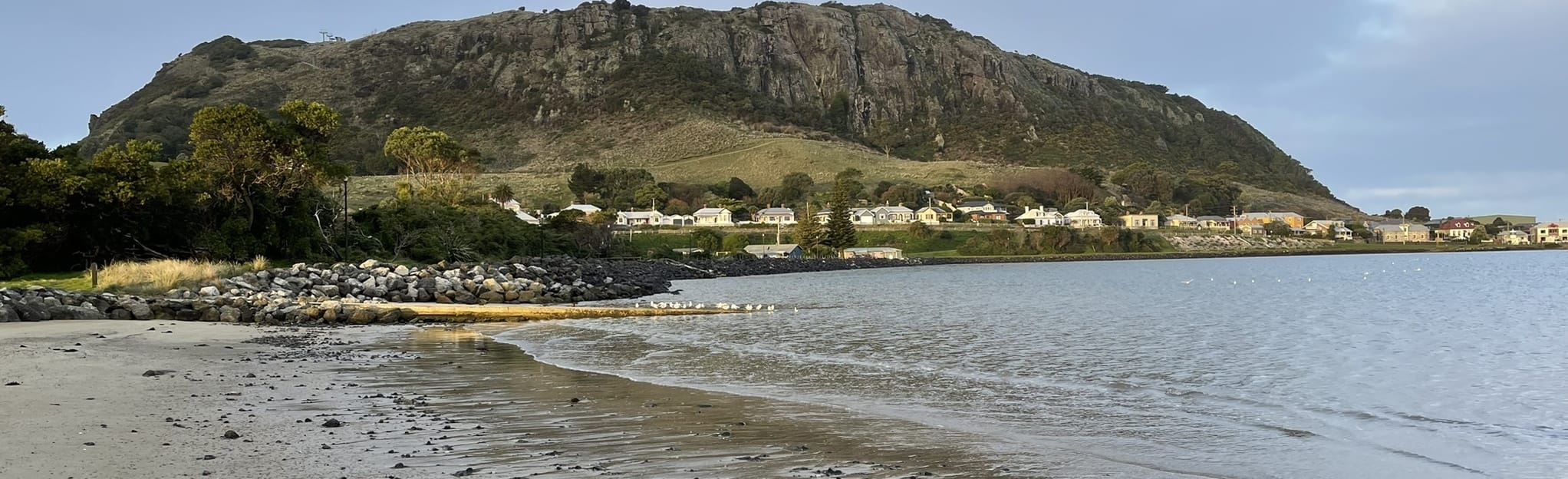 Tallows Beach Loop Walk, Tasmania, Australia - 14 Reviews, Map | AllTrails