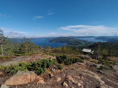 Best Hikes and Trails in Skuleberget Naturreservat | AllTrails