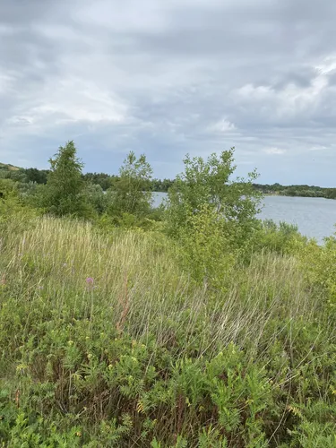 2023 Best Forest Trails in Langeskov | AllTrails