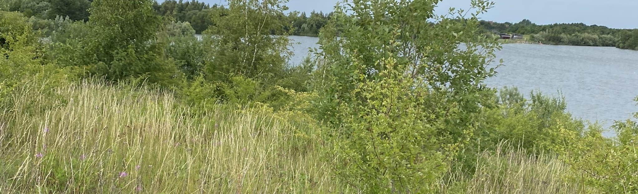 Davinde Sø - Stenværk Sø - Trekløversøen, Region of Southern Denmark ...