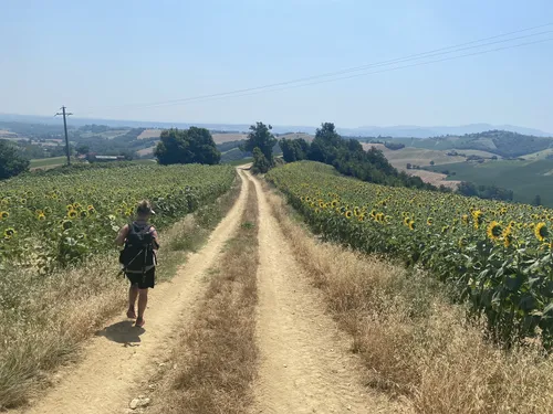 Parco Fluviale Regionale del Taro: de beste routes om te wandelen ...
