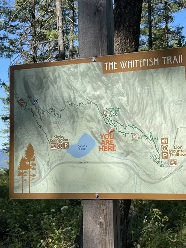 Best Hikes and Trails in Stillwater State Forest | AllTrails