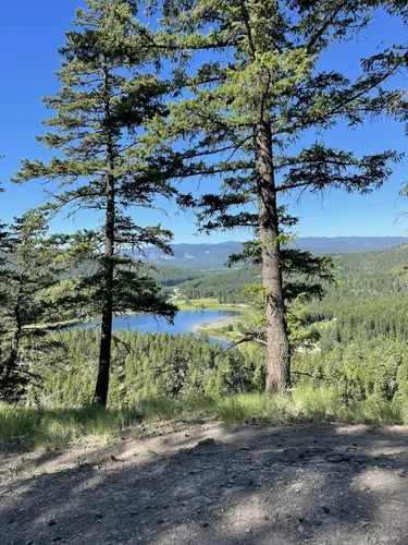 Best Hikes and Trails in Stillwater State Forest | AllTrails