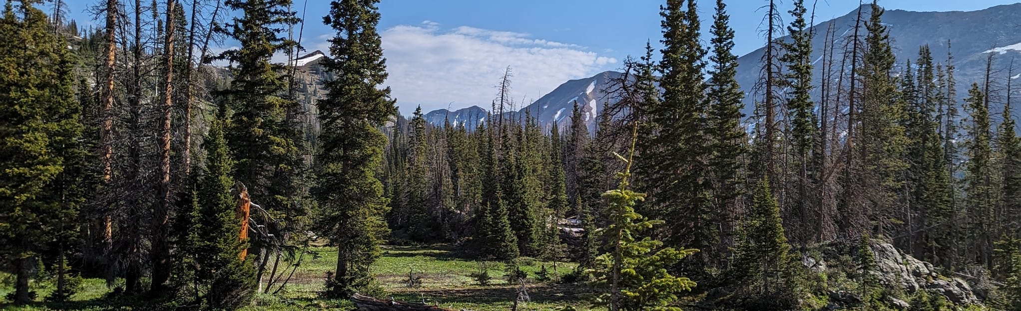 Baker Gulch to Parika Lake, Colorado - 150 Reviews, Map | AllTrails