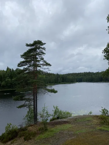 2023 Best Long Trails in Ånnaboda Nature Reserve | AllTrails