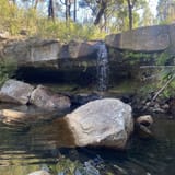 Berrara Waterfall, New South Wales, Australia - 45 Reviews, Map | AllTrails