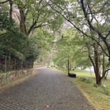 Furnas Lagoon Trail, Azores, Portugal - 229 Reviews, Map | AllTrails