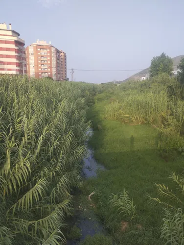 Best Hikes and Trails in Marjar de la Safor | AllTrails