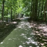 Sharon Springs Park Trail, Georgia - 257 Reviews, Map | AllTrails