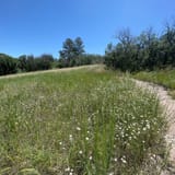 Memmen Ridge Open Space Trail, Colorado - 266 Reviews, Map | AllTrails
