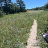 Memmen Ridge Open Space Trail, Colorado - 266 Reviews, Map | AllTrails