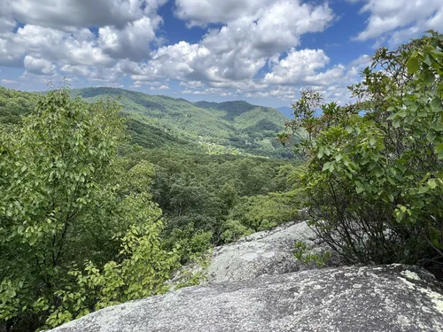 Best Hikes and Trails in Gerton | AllTrails