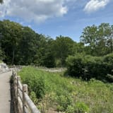 Moore Park Ravine Trail, Ontario, Canada - 982 Reviews, Map | AllTrails