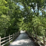 Moore Park Ravine Trail, Ontario, Canada - 982 Reviews, Map | AllTrails