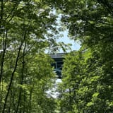 Moore Park Ravine Trail, Ontario, Canada - 982 Reviews, Map | AllTrails