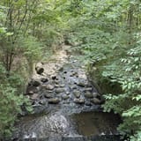 Moore Park Ravine Trail, Ontario, Canada - 982 Reviews, Map | AllTrails