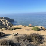 Sunset Cliffs Park Trail, California - 576 Reviews, Map | AllTrails