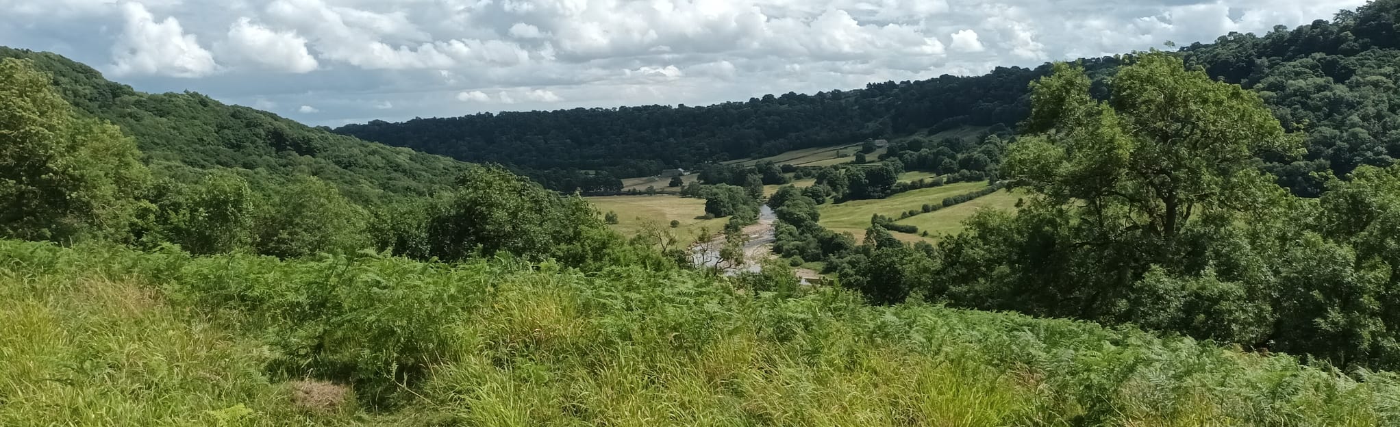 Coast to Coast Walk Segment 8: Reeth to Richmond, North Yorkshire ...