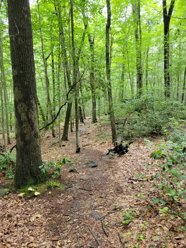 Best Hikes and Trails in Day Pond State Park | AllTrails