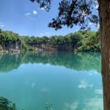 Fort Dickerson Quarry Trail, Tennessee - 343 Reviews, Map | AllTrails
