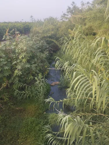 Best Hikes and Trails in Marjar de la Safor | AllTrails