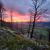 Bridger Ridge Trail, Montana - 181 Reviews, Map | AllTrails