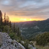 Bridger Ridge Trail, Montana - 181 Reviews, Map | AllTrails