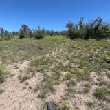 Memmen Ridge Open Space Trail, Colorado - 266 Reviews, Map | AllTrails