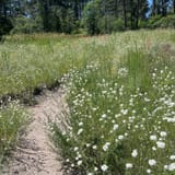 Memmen Ridge Open Space Trail, Colorado - 266 Reviews, Map | AllTrails