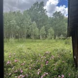 River Run Trail , Colorado - 173 Reviews, Map | AllTrails