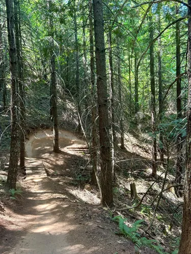 Best Hikes and Trails in Wygant State Natural Area | AllTrails