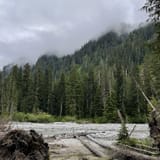 Nooksack Cirque Trail, Washington - 100 Reviews, Map | AllTrails