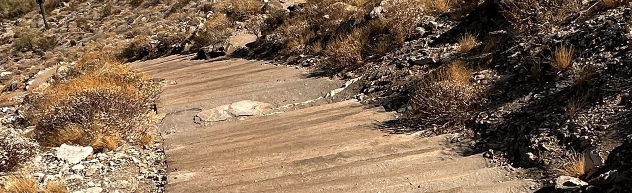 Victory Stairs, Arizona - 725 Reviews, Map | AllTrails