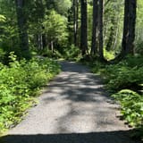 Indian River Trail, Alaska - 278 Reviews, Map | AllTrails