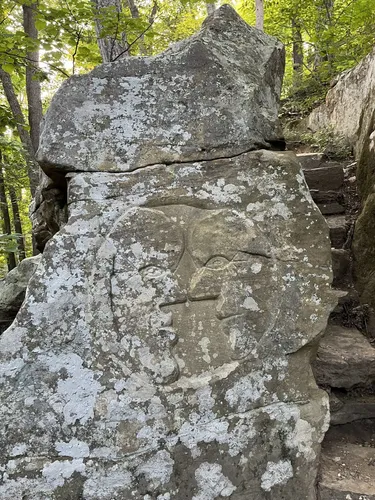 Best Hikes and Trails in Ritter Park Historic District | AllTrails