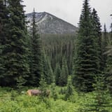 West Oval Lake Trail , Washington - 28 Reviews, Map | AllTrails