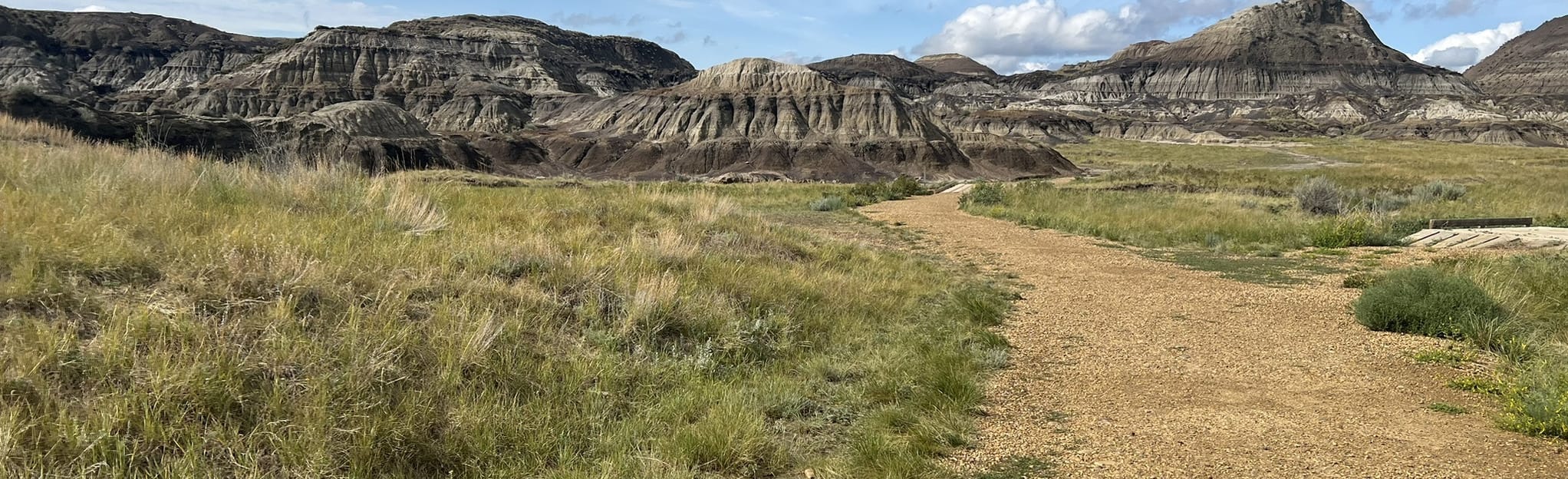Horseshoe Canyon Trail: 872 Reviews, Map - Alberta, Canada | AllTrails