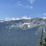 Silver Forest Trail, Washington - 382 Reviews, Map | AllTrails