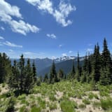 Silver Forest Trail, Washington - 382 Reviews, Map | AllTrails