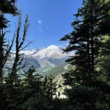 Silver Forest Trail, Washington - 382 Reviews, Map | AllTrails