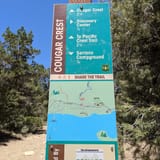 Alpine Pedal Path Trail, California - 884 Reviews, Map | AllTrails