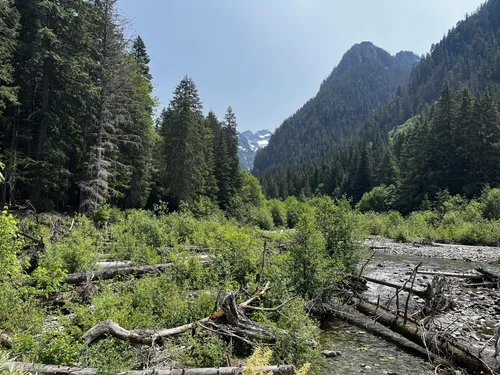 10 Best Trails and Hikes in Index | AllTrails