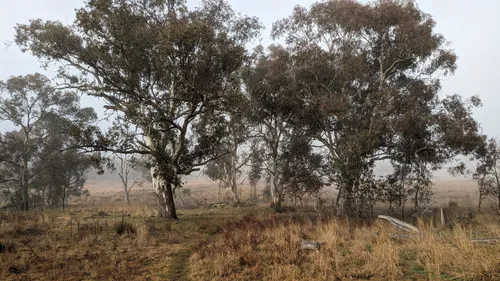 Best Hikes and Trails in Aranda Bushland Nature Reserve | AllTrails